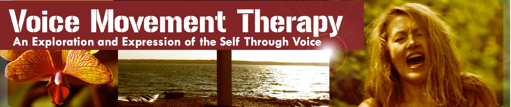 About Voice Movement Therapy